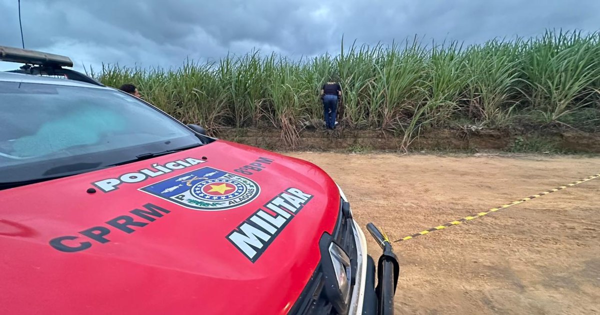 Corpo de homem é encontrado parcialmente carbonizado em canavial de Rio ...