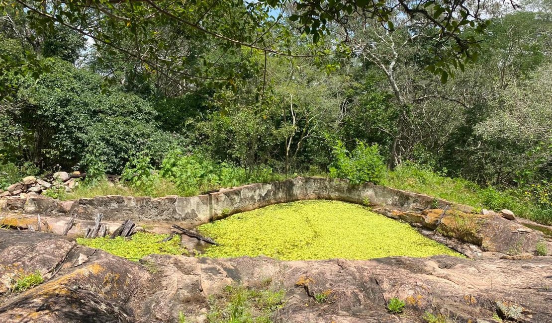 Vai fazer trilha? Ima orienta sobre cuidados necessários durante essa ...